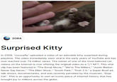 [Image - 119857] | Surprised Kitty | Know Your Meme