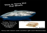 Squirrel in Underpants | Terry The Fat Shark | Know Your Meme