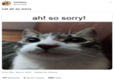 ah! so sorry! | ah! so sorry! | Know Your Meme