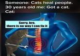 [Image - 902723] | Cats | Know Your Meme