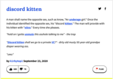 Discord Kitten | Know Your Meme