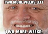 Two Weeks | Know Your Meme