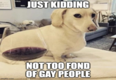 bit fruity | Homophobic Dog / Not Too Fond Of Gay People | Know Your Meme