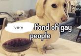Rainbow Homophobic Dog | Homophobic Dog / Not Too Fond Of Gay People ...
