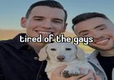 bit fruity | Homophobic Dog / Not Too Fond Of Gay People | Know Your Meme