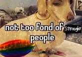 i don't think that's normal | Homophobic Dog / Not Too Fond Of Gay ...