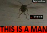 Plato's Man / Featherless Biped | Know Your Meme