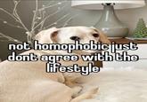 i have a confession. | Homophobic Dog / Not Too Fond Of Gay People ...