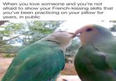 [Image - 854478] | Parrots | Know Your Meme