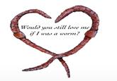 Would You Still Love Me If I Was A Worm? | Know Your Meme