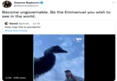 Emmanuel The Emu | Know Your Meme