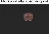 Horizontally Spinning Rat | Know Your Meme
