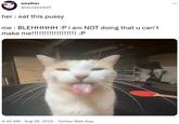 "I Can Act Rather Silly at Times" | BLEHHHHH :P Cat | Know Your Meme