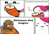 Release the Bogus | Know Your Meme