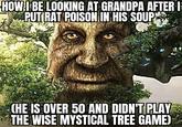 TREE FACE | Wise Mystical Tree / If You're Over 25 and Own a Computer ...