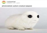 TBH / Autism Creature / Yippee | Know Your Meme