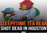 Sleepytime Tea Bear | Know Your Meme