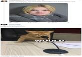 Would Microphone Cat Reaction Image | "Would" Reaction Images | Know ...