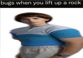 Bugs When You Lift Up A Rock | Know Your Meme
