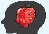 Think of an Apple In Your Head / Apple Visualization Exercise | Know ...