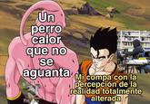 Gohan Con La Percepción De La Realidad Alterada / Gohan With His ...