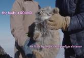 The Body Is Round | Know Your Meme