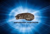 Serotonin Machine | Know Your Meme
