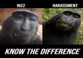Monkey With Rizz | Know Your Meme