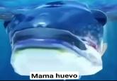 Mamaguevo, Digo Glo Glo Glo / Mama Huevo | Know Your Meme