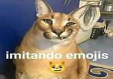 Imitando Emojis / Mimicking Emojis | Know Your Meme