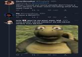 Shocked Turtle / HUH | Know Your Meme