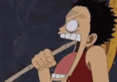 Monkey D. Luffy | Know Your Meme