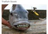 Travis Scott Fish | Know Your Meme