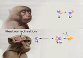 Neuron Activation | Know Your Meme