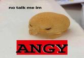 No Talk Me I'm Angy | Know Your Meme