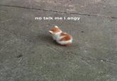 No Talk Me I'm Angy | Know Your Meme