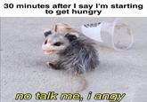 No Talk Me I'm Angy | Know Your Meme