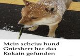 Mein Scheiss Hund Gniesbert | Know Your Meme