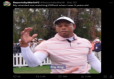 Tiger Woods "Big Dog" | Know Your Meme