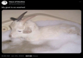 When You Find Out Your GOAT Washed | Know Your Meme