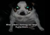 The Vibe I Bring To The Function | Know Your Meme