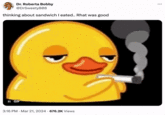 Duck Smoking GIF | Know Your Meme