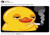 Duck Smoking GIF | Know Your Meme