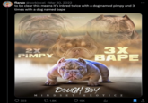 2X Pimpy 3X Bape / Pimpy Son Opp | Know Your Meme