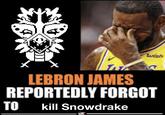 LeBron James Reportedly | Know Your Meme