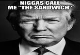 Niggas Call Me "The Sandwich" | Know Your Meme