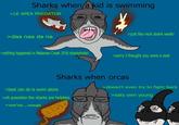 hug the shark | Sharks | Know Your Meme