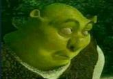 Shrek Meme Face | Know Your Meme