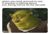 Shrek Meme Face | Know Your Meme