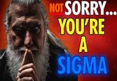 Sorry You're Not a Sigma | Know Your Meme